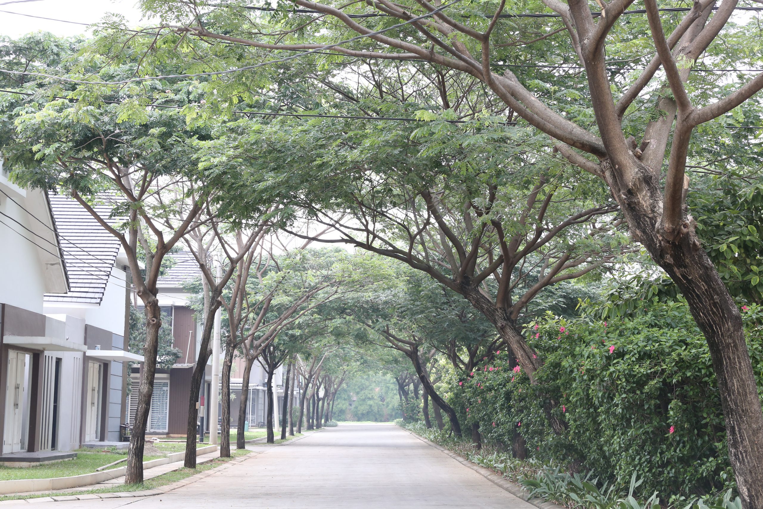 Rumah Dijual di Perumahan Magnolia Residence Tangerang I Intiland.com